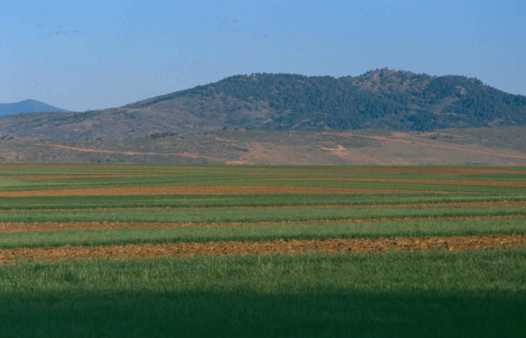 Long View Farm Open Space | Larimer County