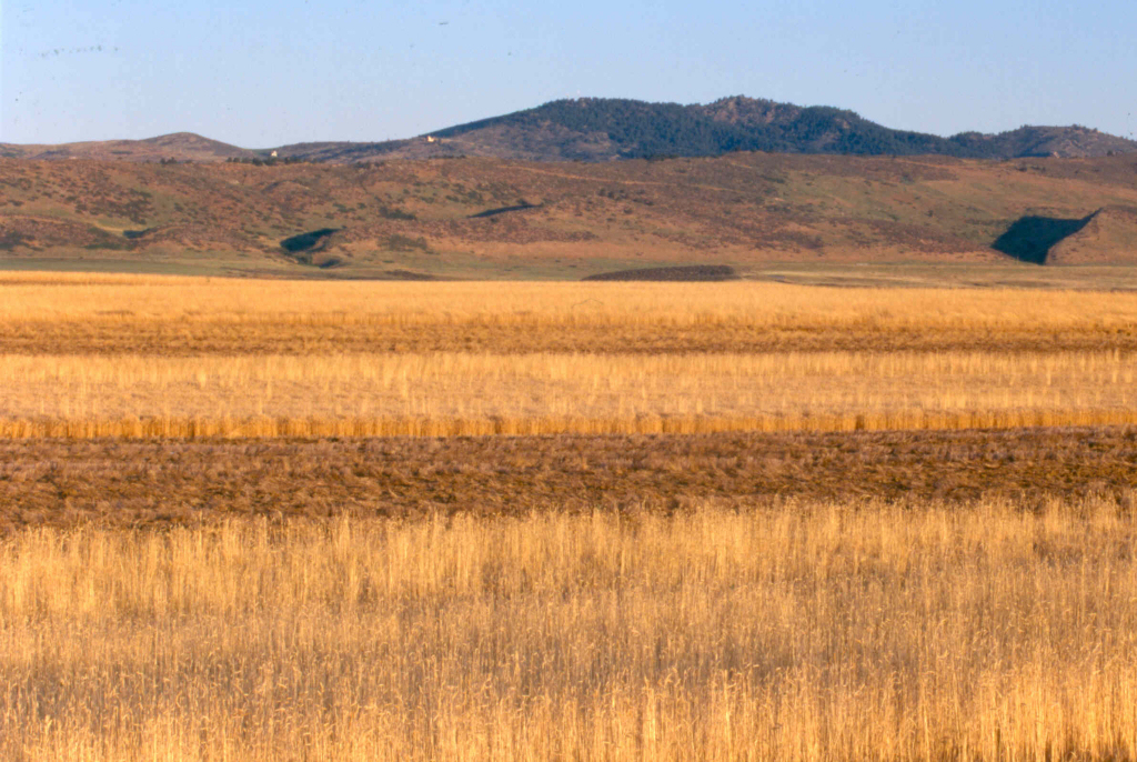 Long View Farm Open Space | Larimer County