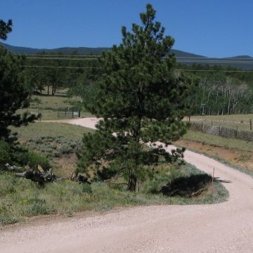 Improvement Districts | Larimer County