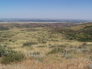 Siefke Conservation Easement | Larimer County