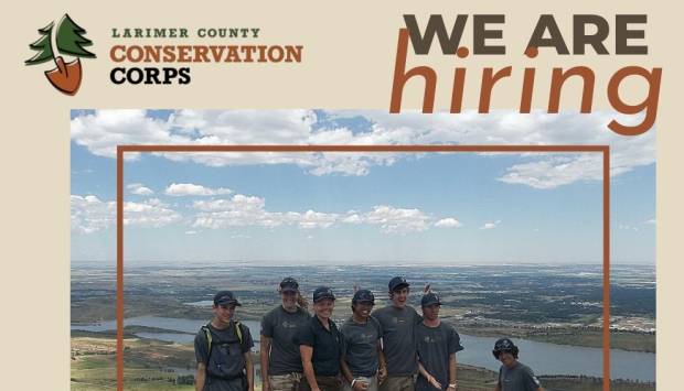 Economic & Workforce Development | Larimer County