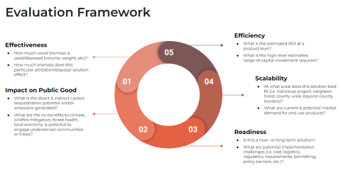 Woody Biomass Strategy | Larimer County